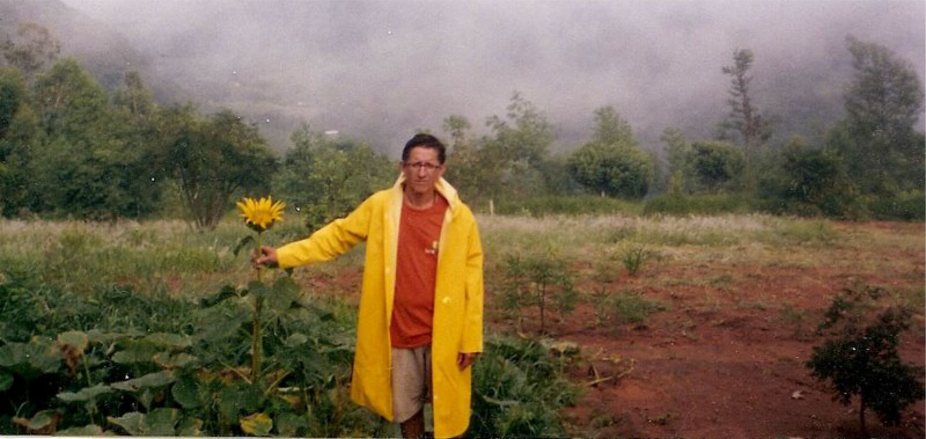 A promessa não era a felicidade - Notícias da Aldeia